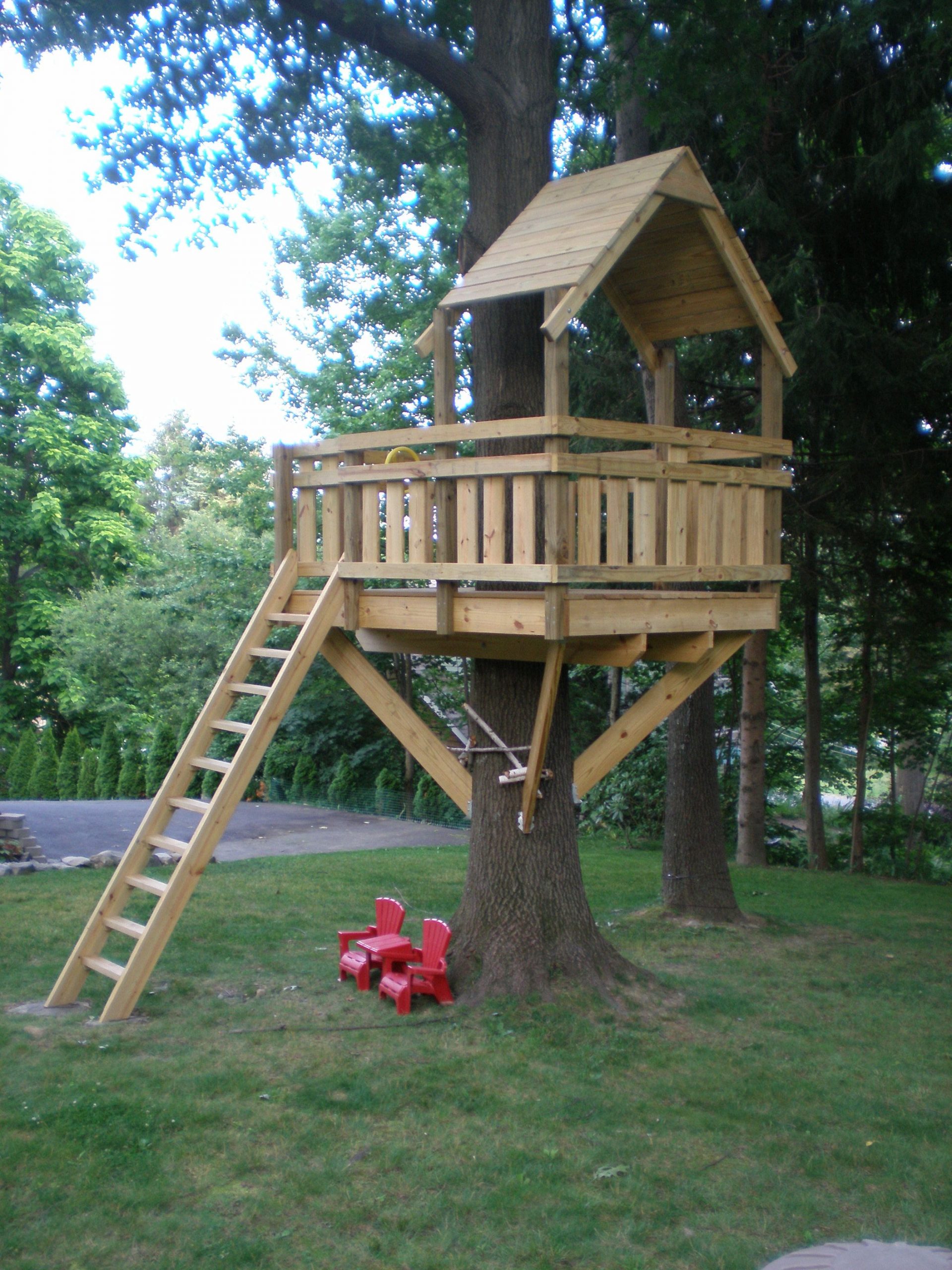 Treehouse - Various types and Fascinating designs
